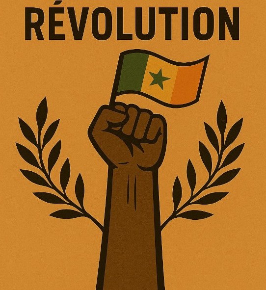 C’est une révolution, et elle est démocratique – chroniquesenegalaises.com